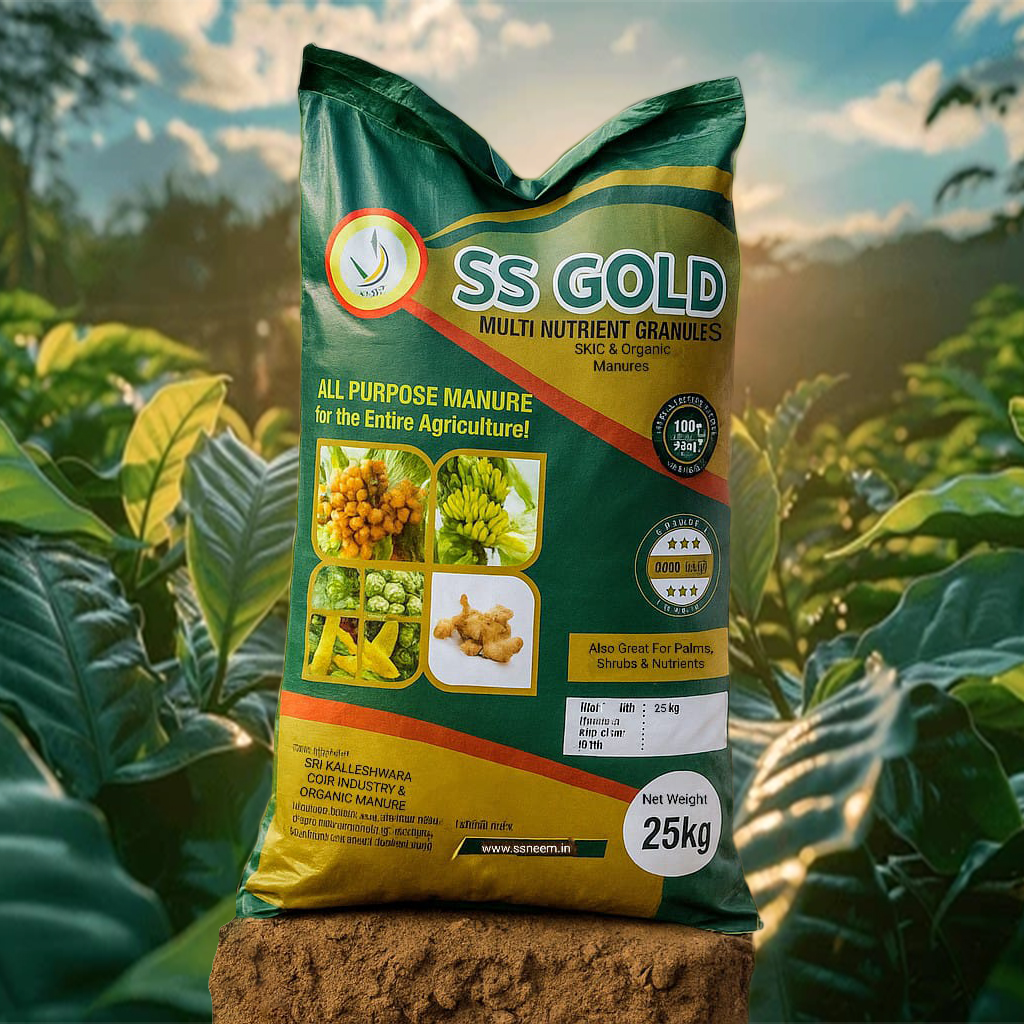 SS gold – ROYAL CSP